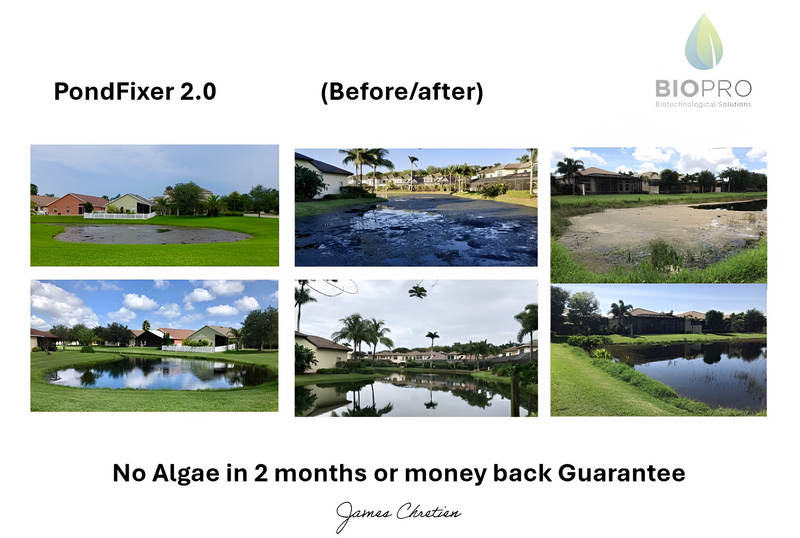 Farm Supplements & Agriculture Supplies | Biopro Solution